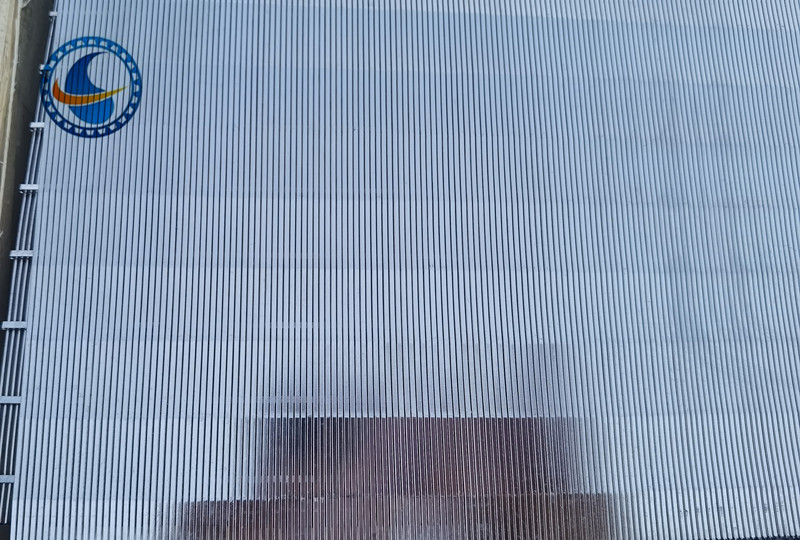 Duplex Steel 2205 Wedge Wire Screen Panels for Mining